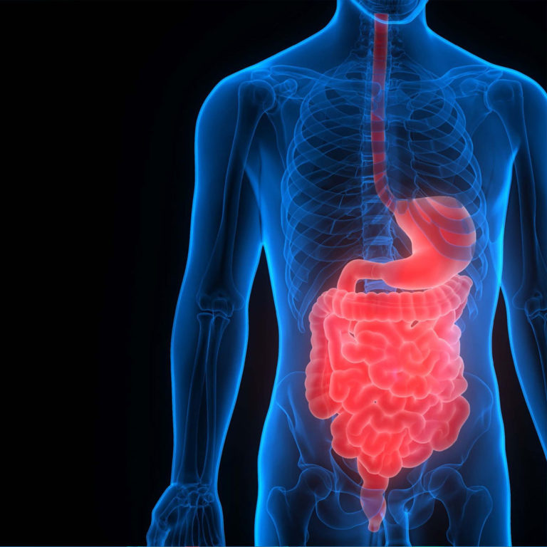 Continuing Education on Bowel Management